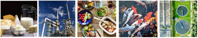 Hdpe Eco Friendly MBBR Bio Carrier 25*5mm Activity Floating Biomass Balls